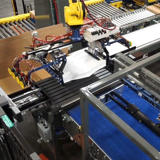 Flexi-Packer - Robotic Case Packing | BW Integrated Systems Flexi-Packer - Robotic Case Packing | BW Integrated Systems